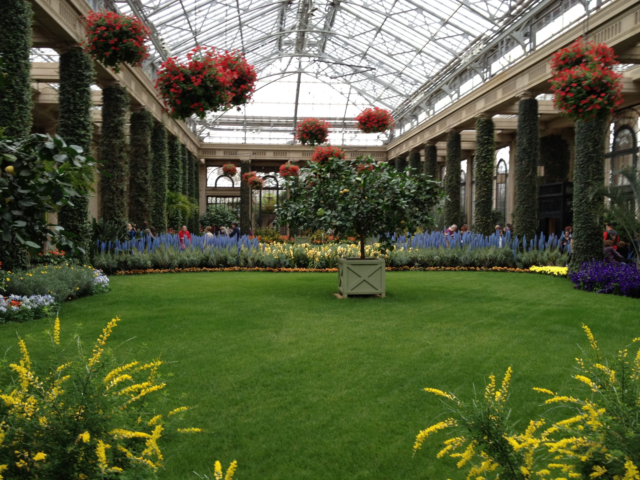 morrowlife» Blog Archive » Indoor lawn